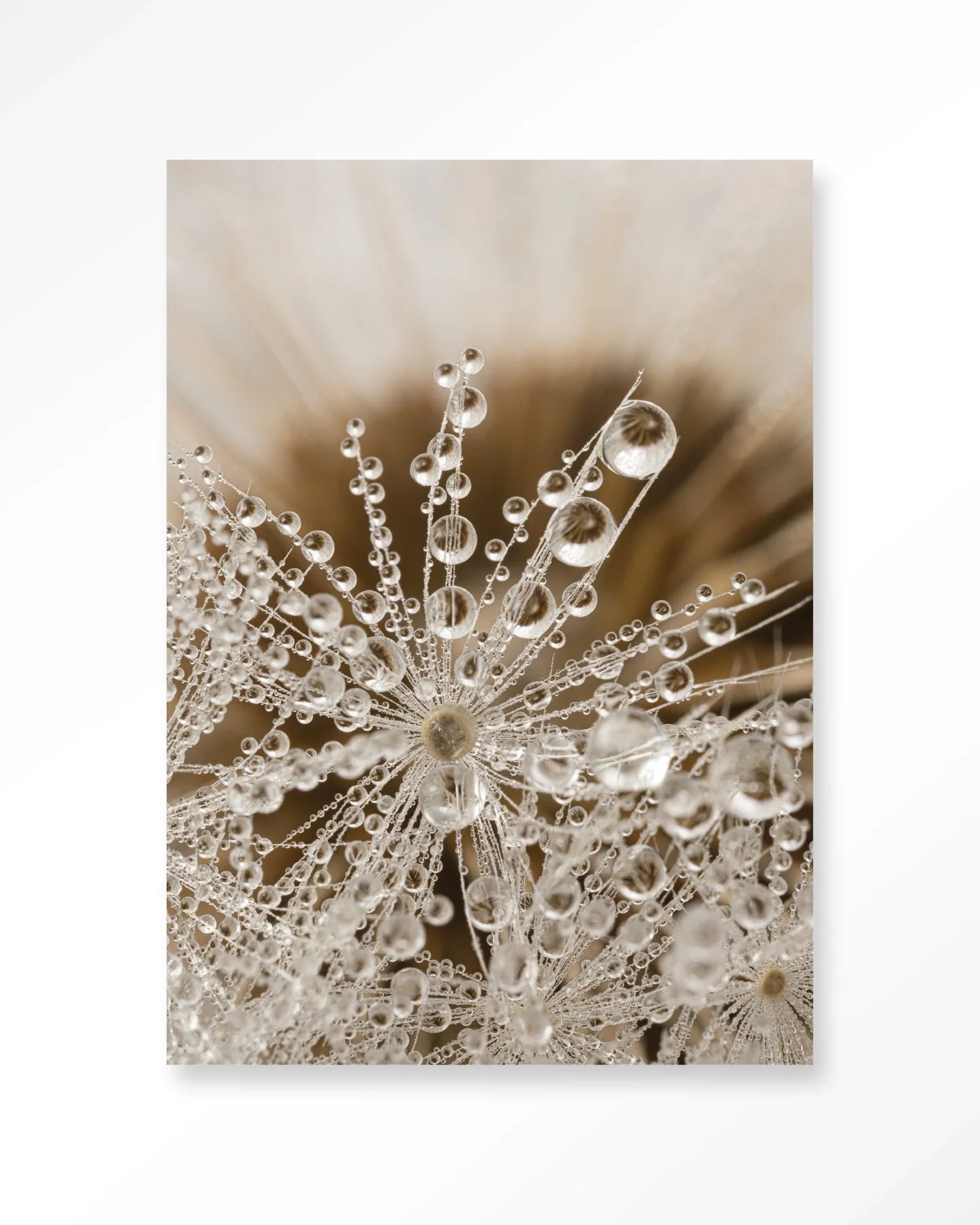 Landelijke Natuur - Moderne Wanddecoratie | Artprint, Glass Art & Wand ...